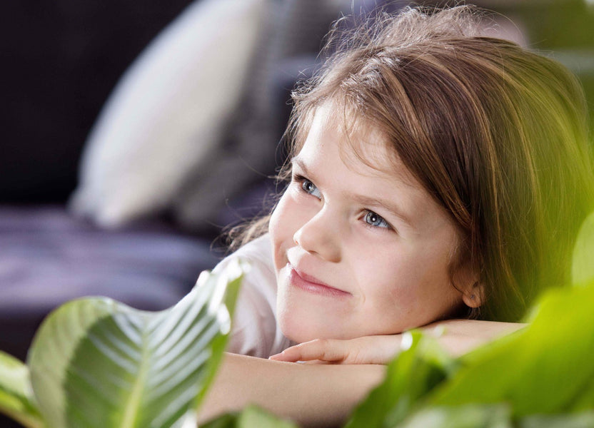 Intenz | Exclusive plants for modern living | Webshop – intenz